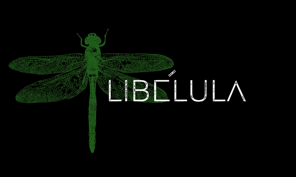Libélula, una comedia de aventuras - Factoría del guíon